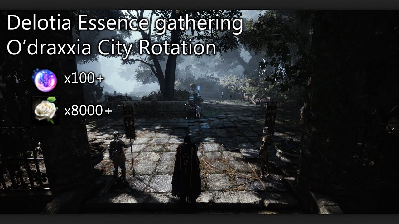 Black Desert Online | Delotia Essence Gathering Rotation - O'draxxia City - YouTube