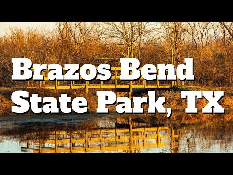 Ultimate Guide to Brazos Bend State Park | Must-See Wildlife & Stunning ...