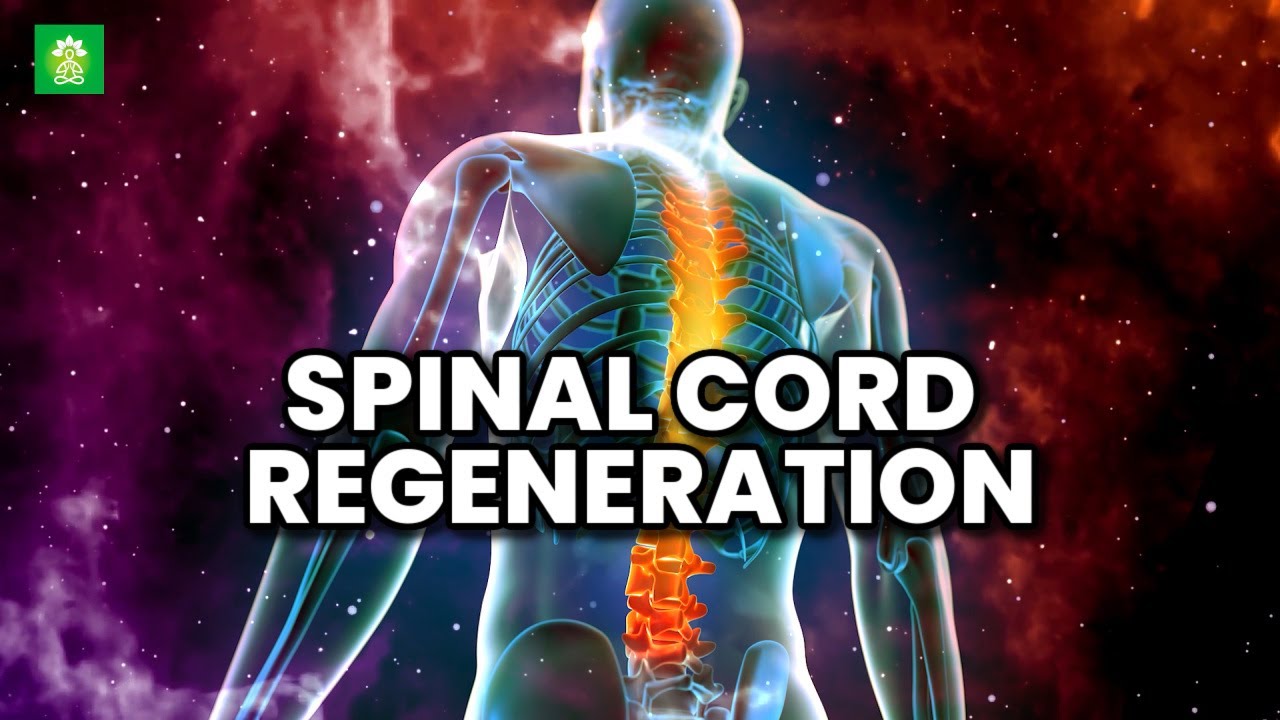 Spinal Cord Regeneration | Heal Posterior Spinal Arteries | Binaural ...