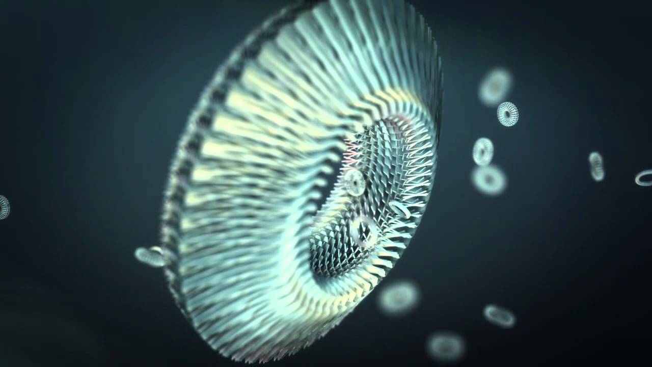 New Element 3D Animation test - YouTube