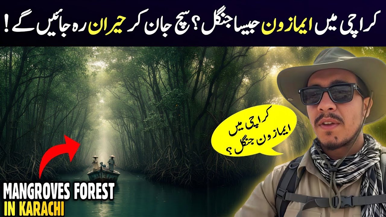 Is This Amazon? Hidden Mangrove Forest in Karachi, Pakistan - YouTube