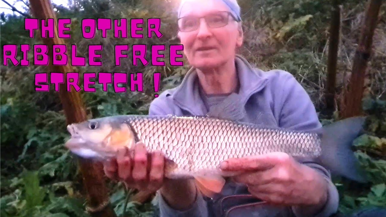 Silver Service on the Tidal River Ribble - Urban coarse fishing. - YouTube