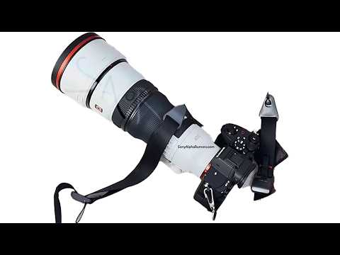 EXCLUSIVE LEAKED images: Sony 400mm & 600mm GM Lenses + Canon EOS R8 II Coming September 15!
