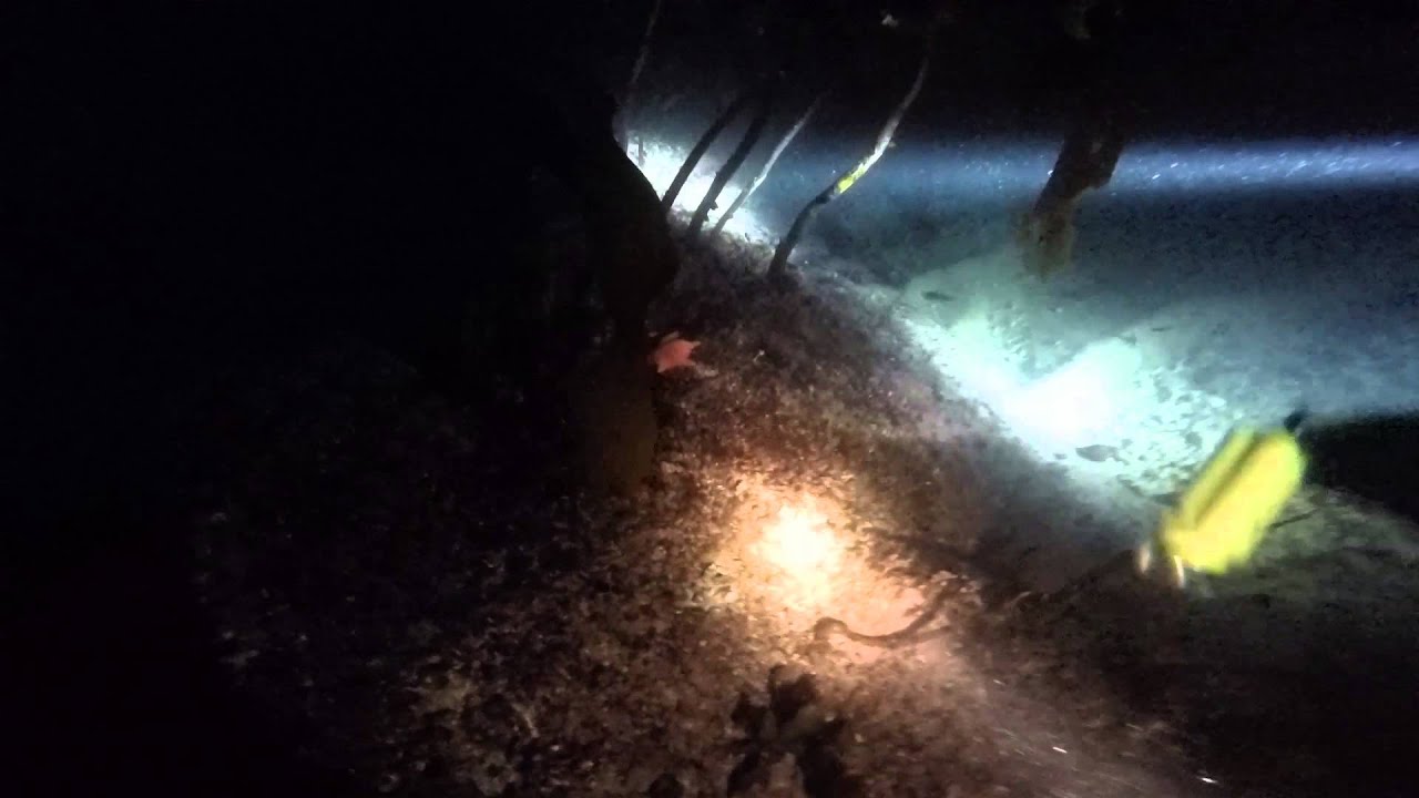 Night Dive Monastery - YouTube