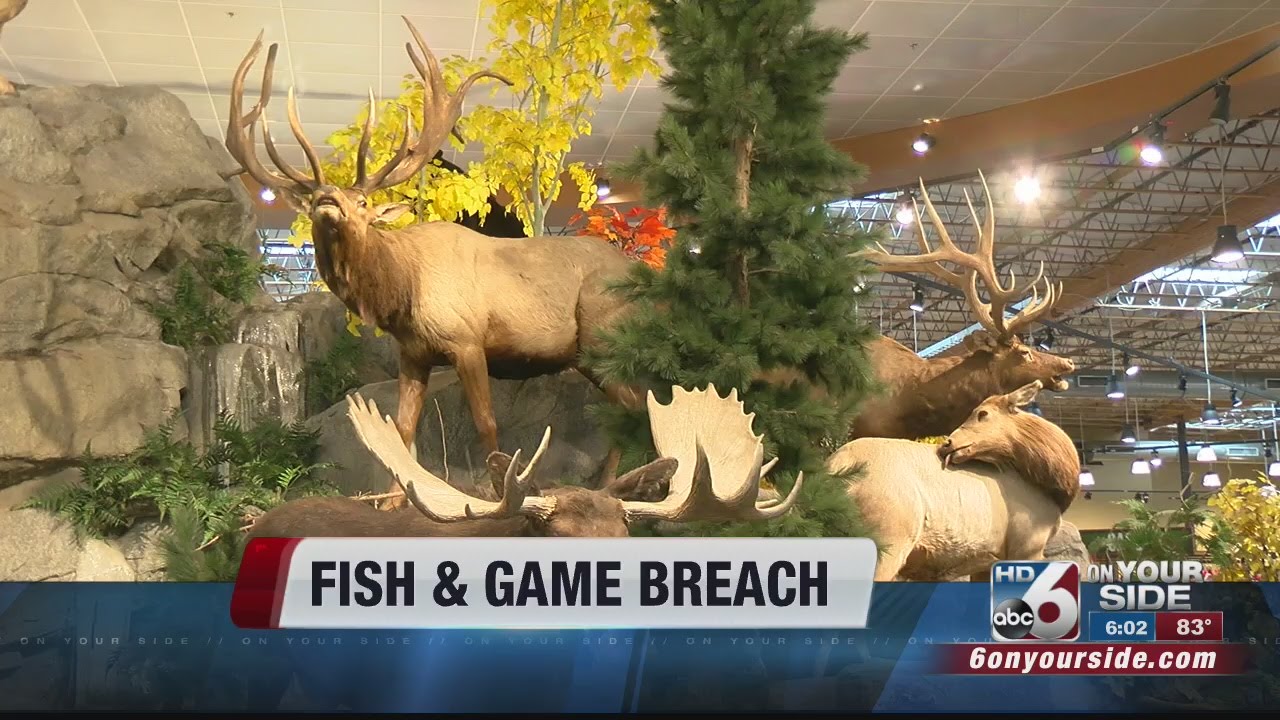 Elk, Deer Tags Sell Out Despite Idaho Fish and Game Computer Hack - YouTube