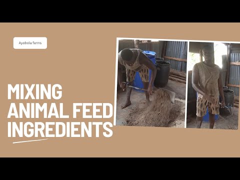 how to mix pig feed ingredients manually - YouTube