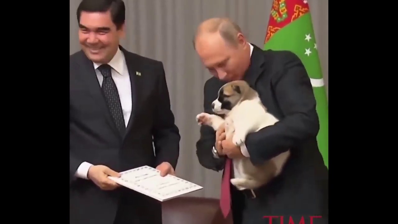 Putin's Extraordinary Alpha Male Walk - YouTube