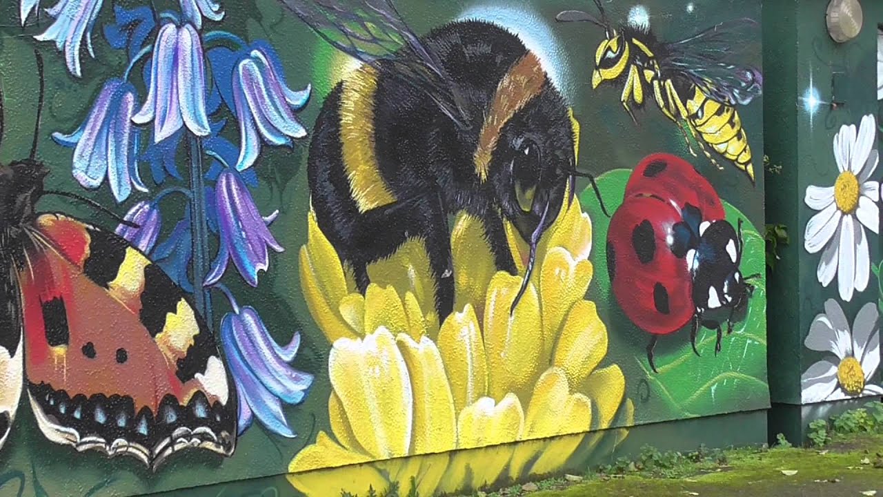 Colourful INSECT Street Art at OXFORD ISLAND - YouTube