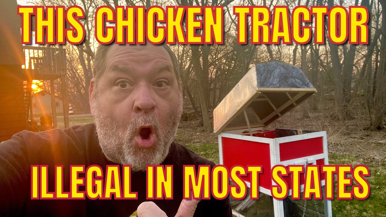 Best Double Decker Chicken Tractor - YouTube