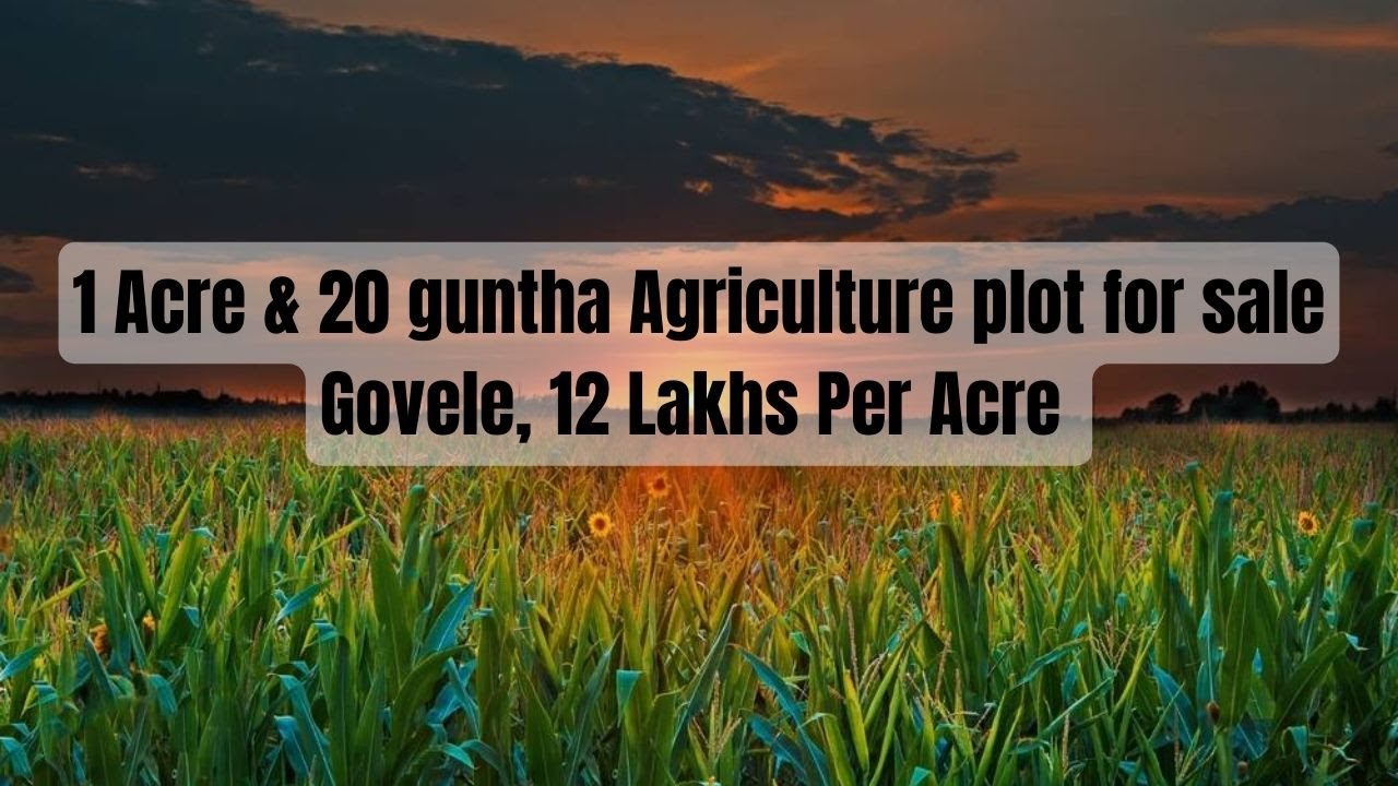 1 Acre 20 Guntha Agriculture Plot For Sale Govele Mangaon Raigad