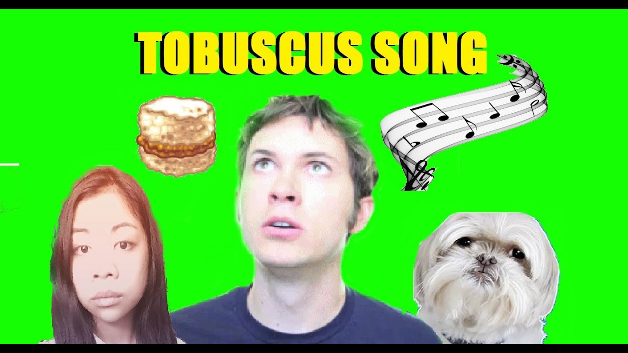 Tobuscus Song - YouTube
