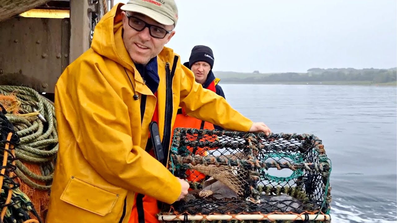 Monitoring Green Crabs around a Creel Pot with a CatchCam camera ...