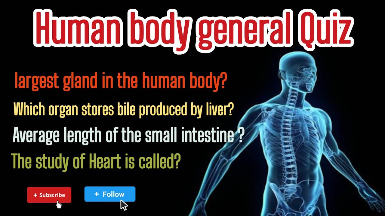 Human Body General Quiz - YouTube