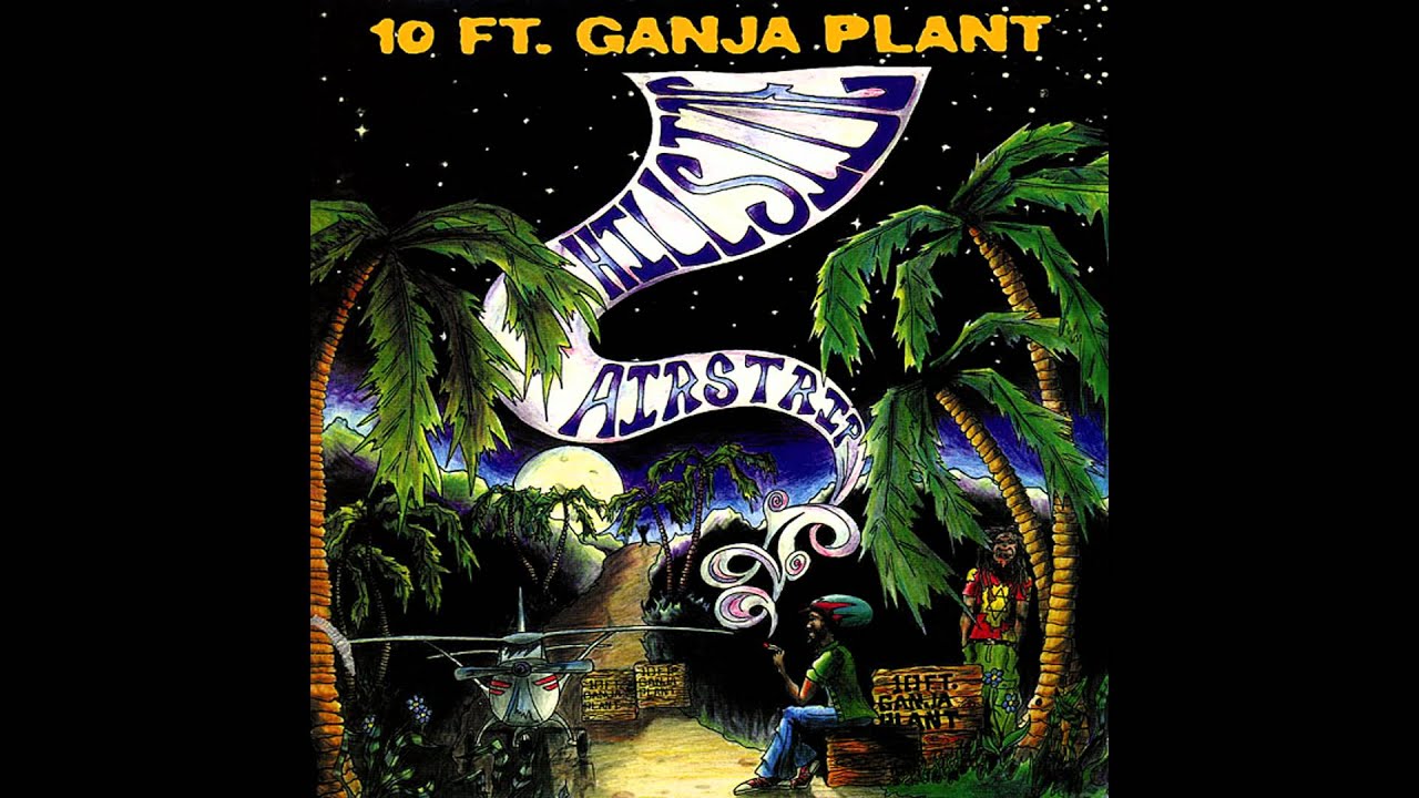 10 Ft.Ganja Plant - Two Bulls - YouTube