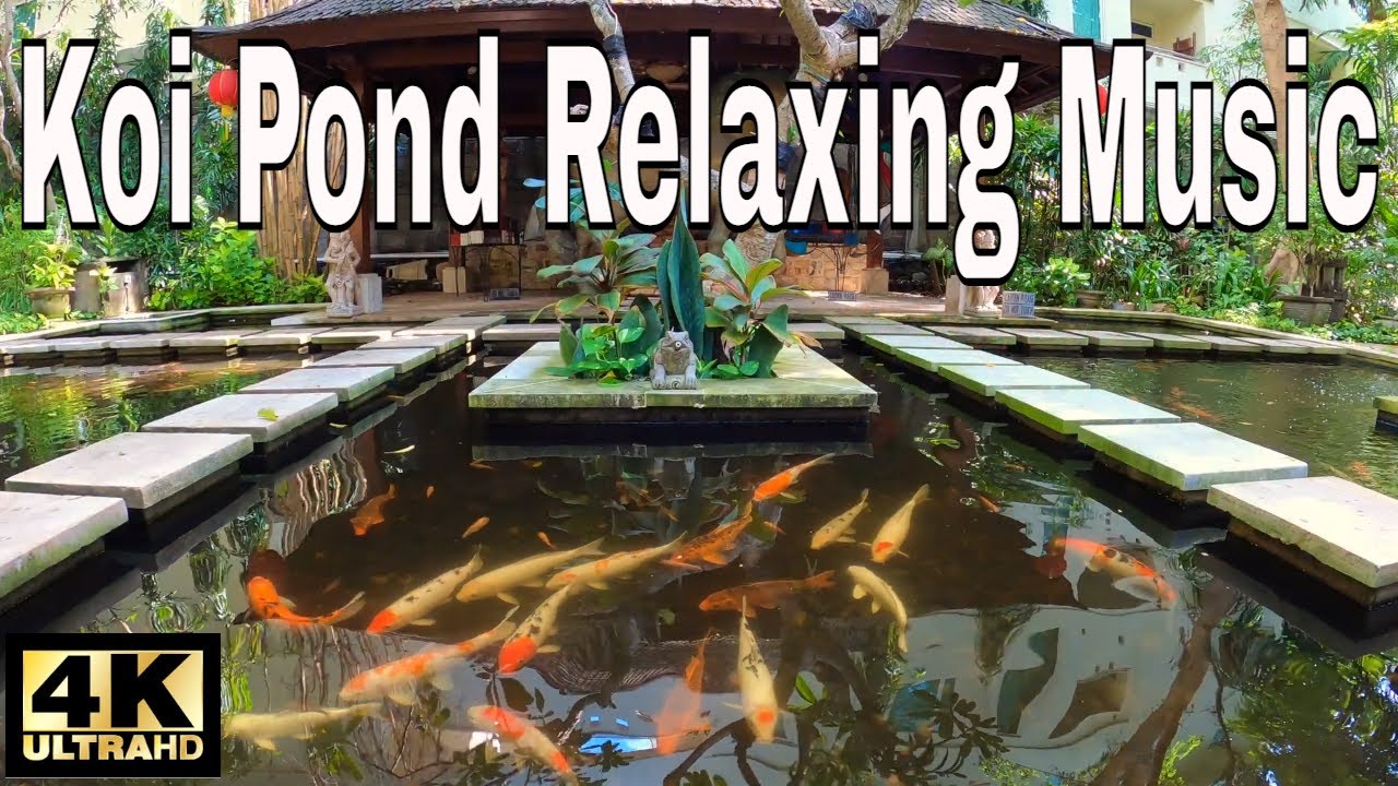 KOI POND RELAXATION THERAPY | Bali Koi Pond | Sleep & Meditation ...