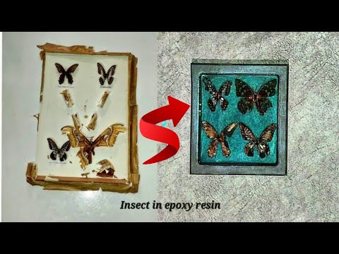 Butterflies, insects in epoxy resin/ resin art/DIY - YouTube