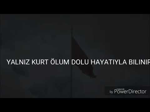 Söz yalnız kurt \