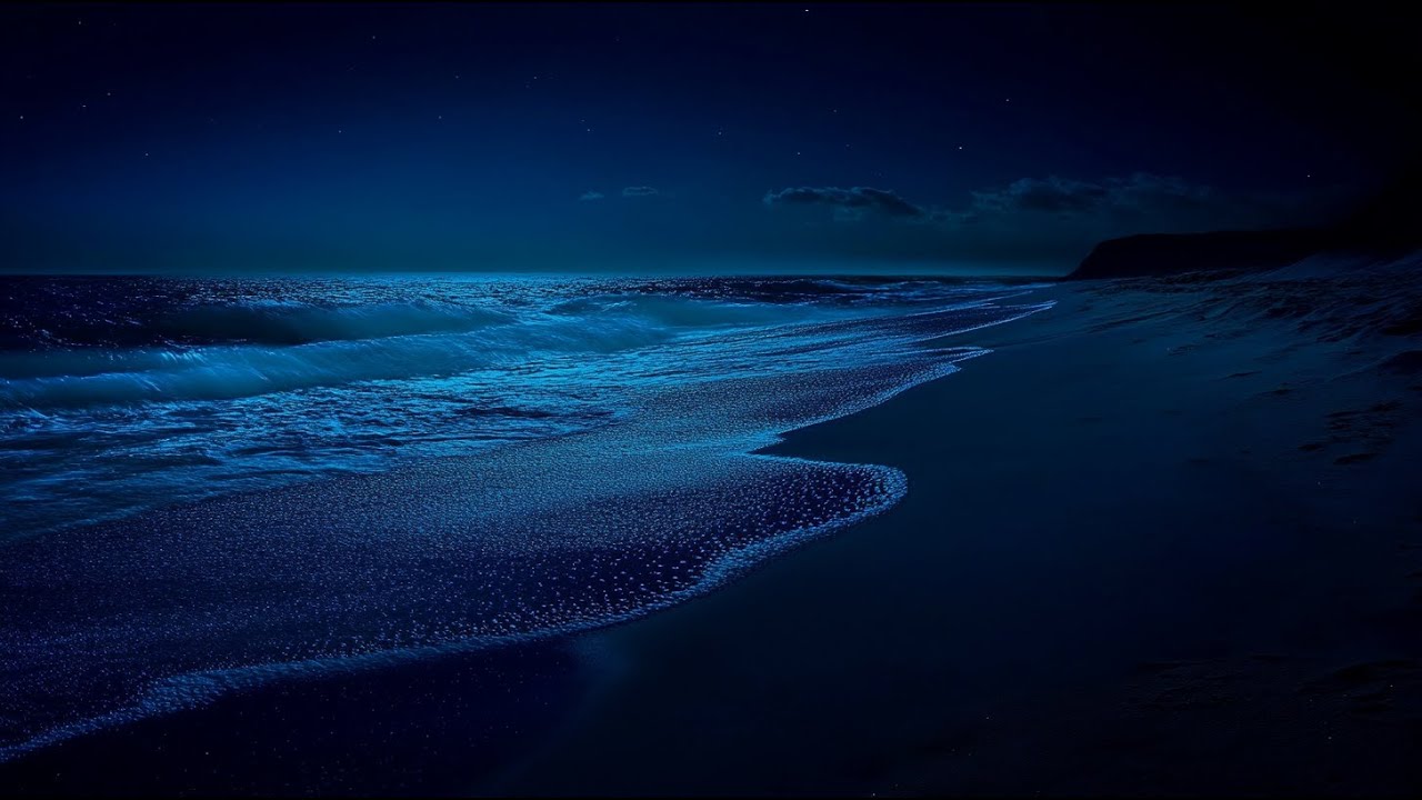 Calm Ocean Waves | Night Beach Sounds for Deep Sleep and Relaxation ...