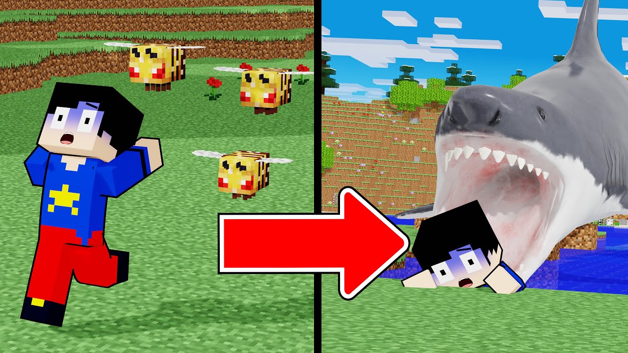 HELP! KOYA - YouTube