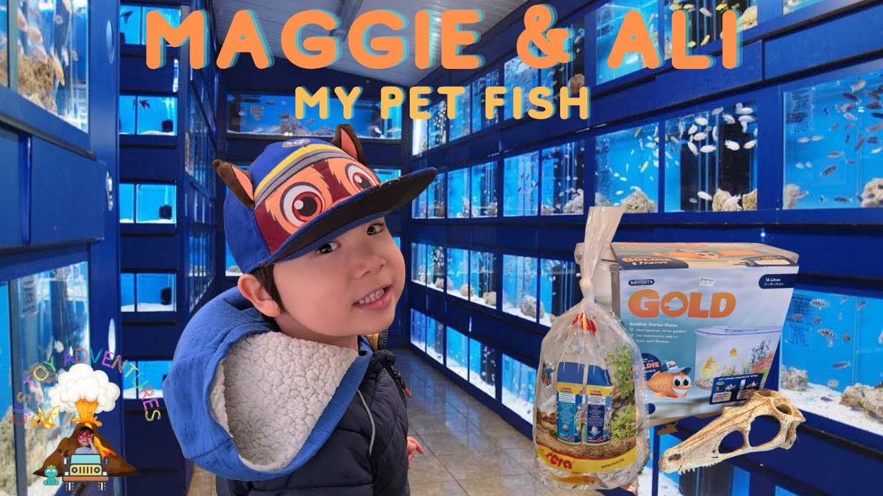 Maggie & Ali My First Pet Fish - YouTube