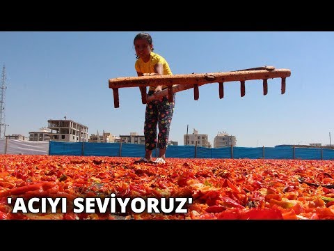 Ekmeklerini acıdan çıkarıyorlar