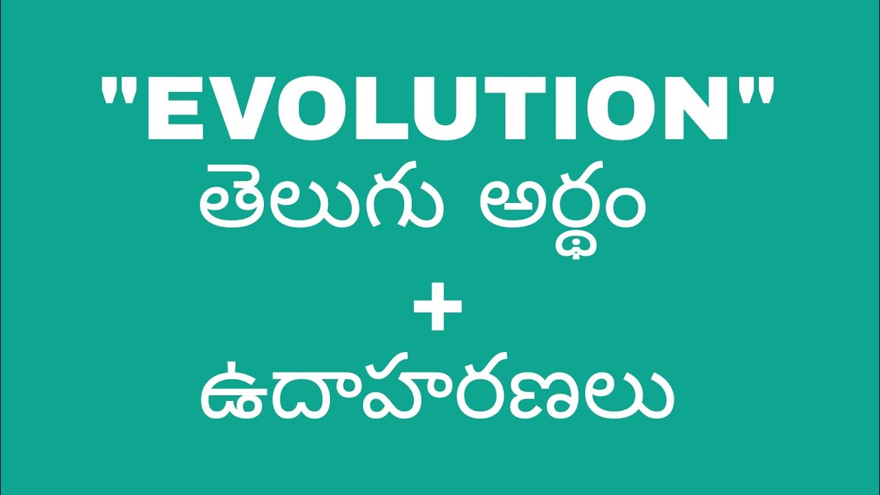 Evolution Meaning In Telugu With Examples Evolution 