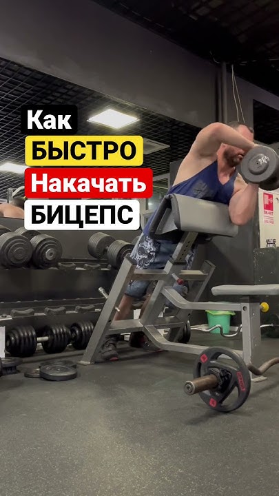 Shorts Как БЫСТРО Накачать БИЦЕПС Youtube