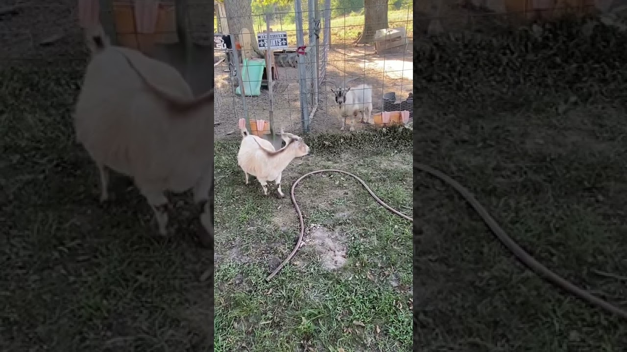 Why do the weekends go by so fast? - YouTube