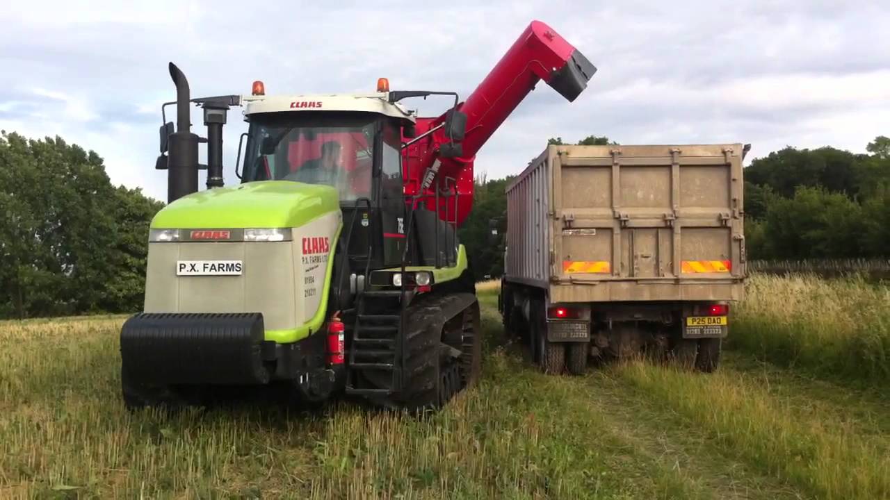 pxfarms1's video | P.X. Farms Ltd | The Content Farm