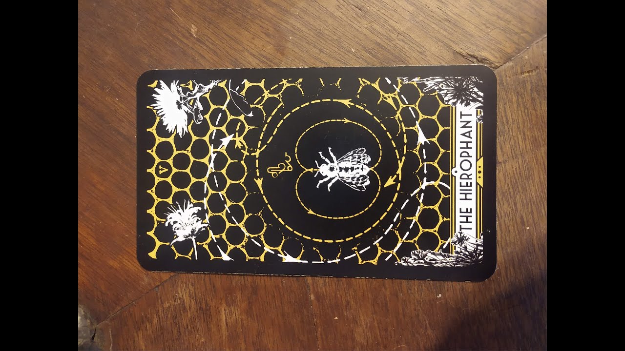 Daily Tarot - Insect Tarot - Hierophant - YouTube
