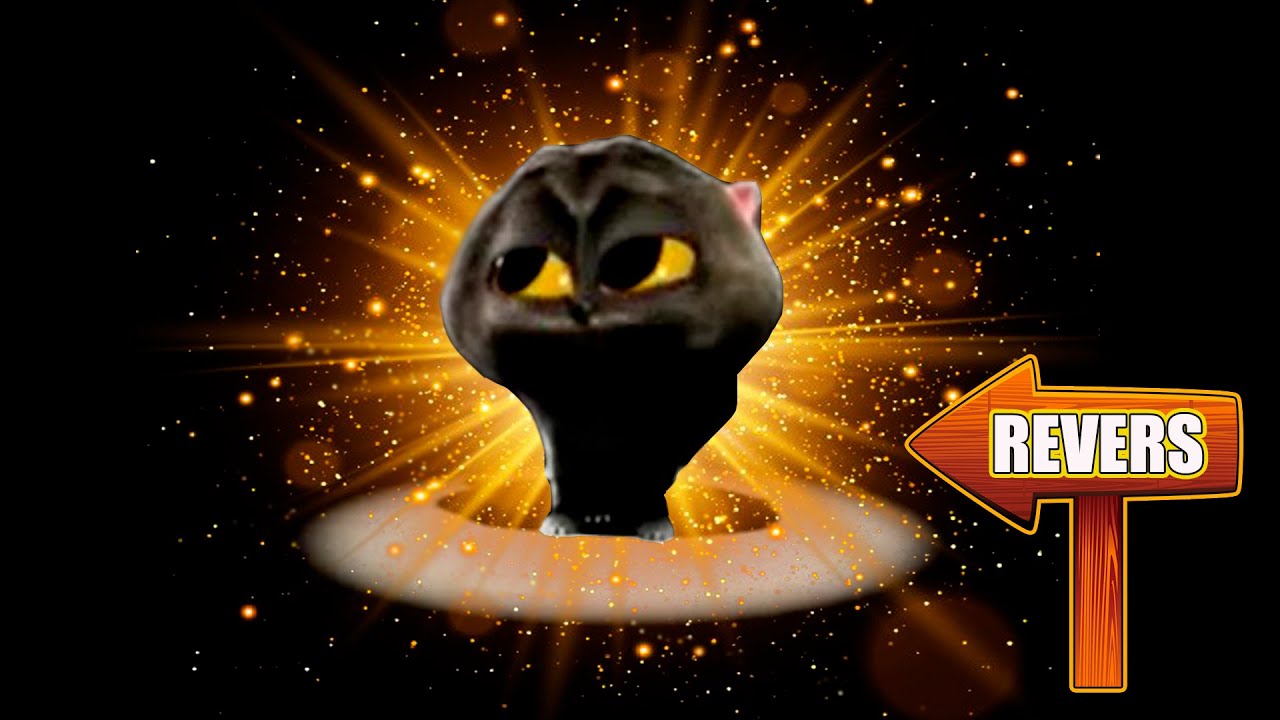 Im a scatman cat revers - YouTube