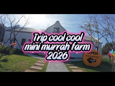 มินิมูร่าห์ฟาร์ม Mini Murrah Farm ฉะเชิงเทรา 1 วัน กิจกรรมสนุกทั้งวัน ...