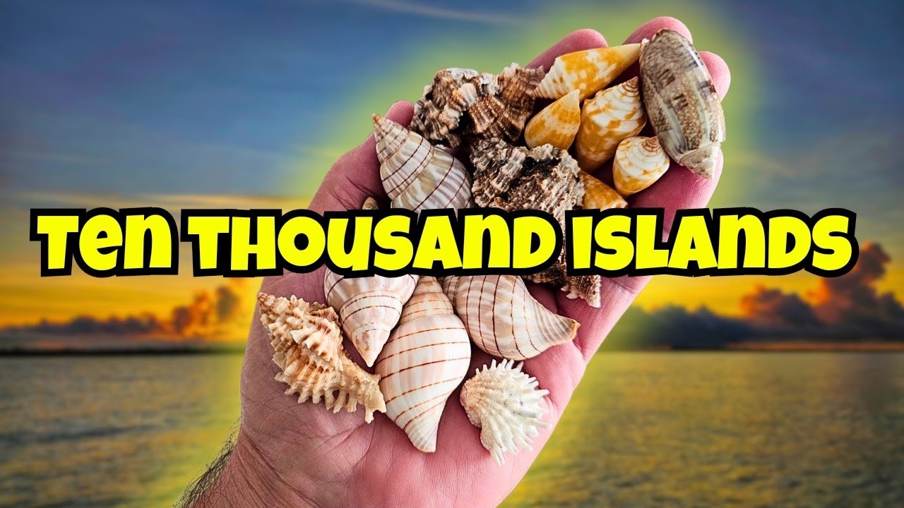 Shelling the TEN THOUSAND ISLANDS after a HURRICANE 🌀 - YouTube