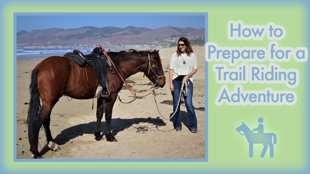 How to Prepare for a Trail Riding Adventure - YouTube