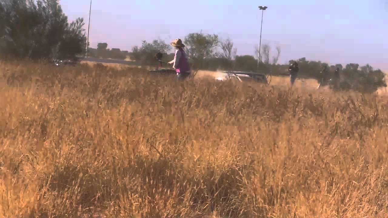 Prolite Buggies Prologue Finke 2015 - YouTube