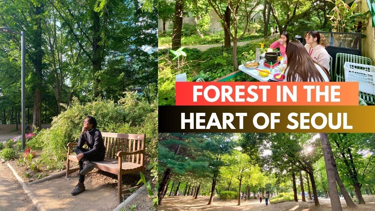 Seoul FOREST for a PEACEFUL afternoon | Korea Travel Vlog - YouTube