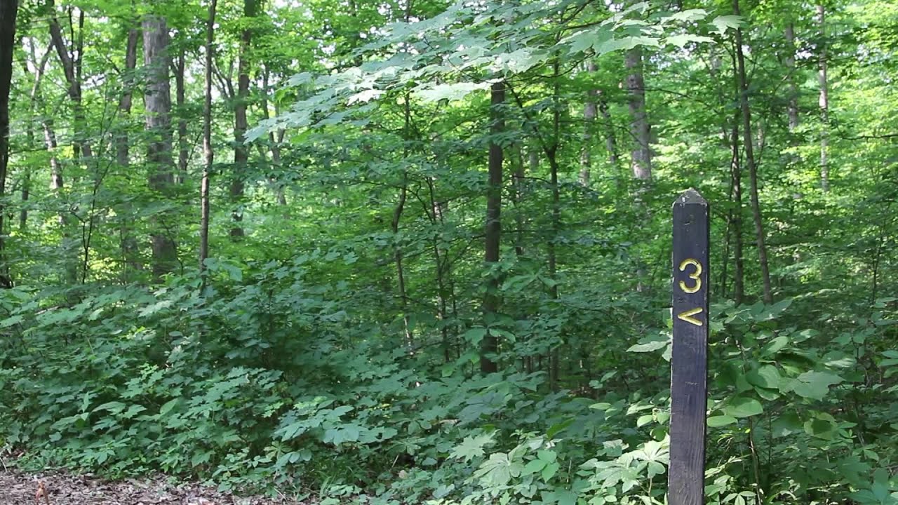 An inside look at Turkey Run's nationally-ranked Trail 3 - YouTube