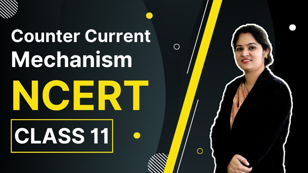 Loop of Henle Magic: Counter Current Mechanism Made EASY #neet2025 # ...