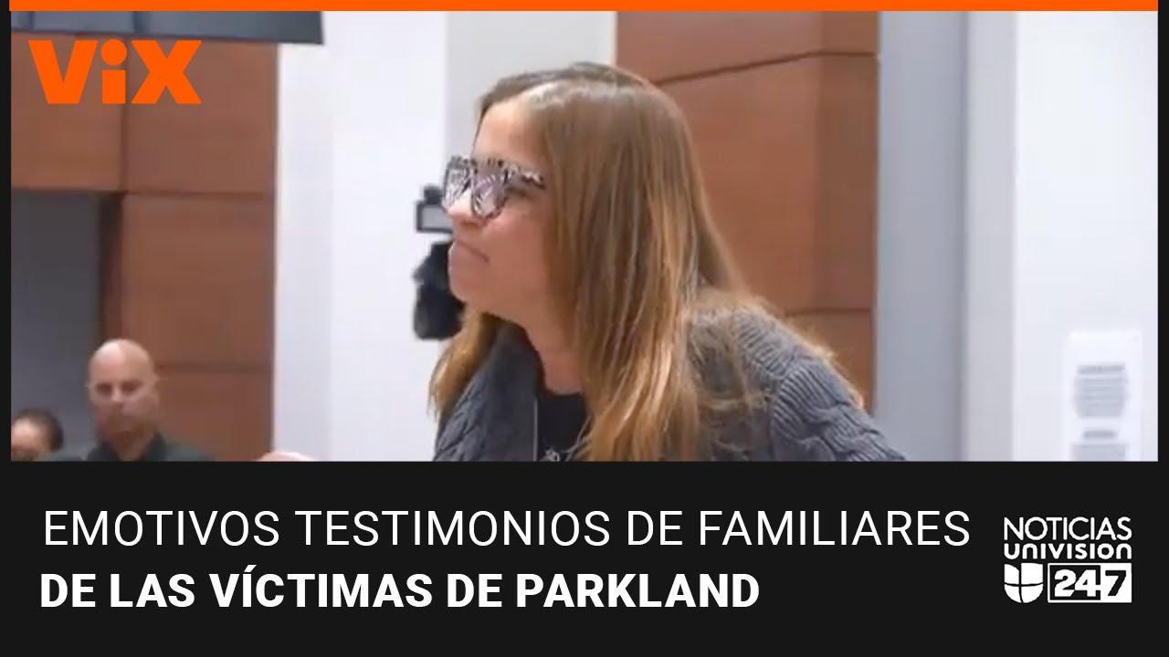 🔴 En vivo ViX: Noticias Univision 24/7 Tarde, 1 de noviembre del 2022 ...
