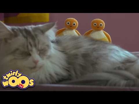 Her Şey Ters Döndü! Çok Komik Macera | Twirlywoos Türkçe - WildBrain | Çocuk Filmleri