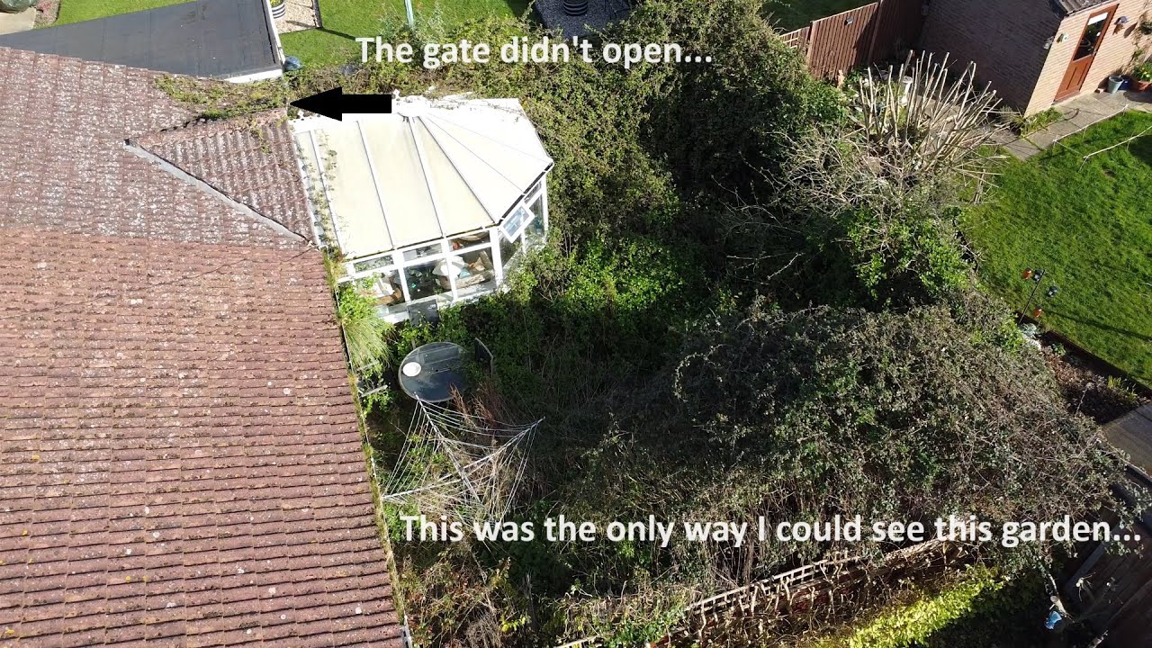 10 YEARS OF OVERGROWTH | can I recover this yard for deserving ...