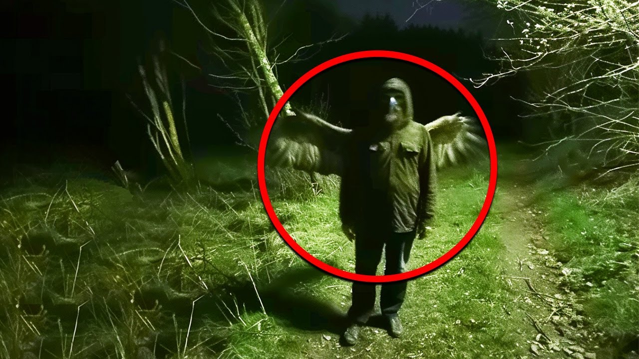 MOST DISTURBING Forest Encounters Caught on Camera - YouTube