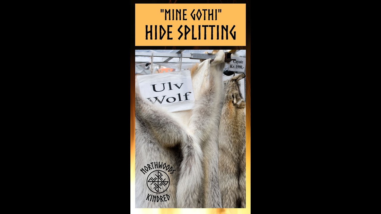 Mine Gothi // Hide Splitting - YouTube