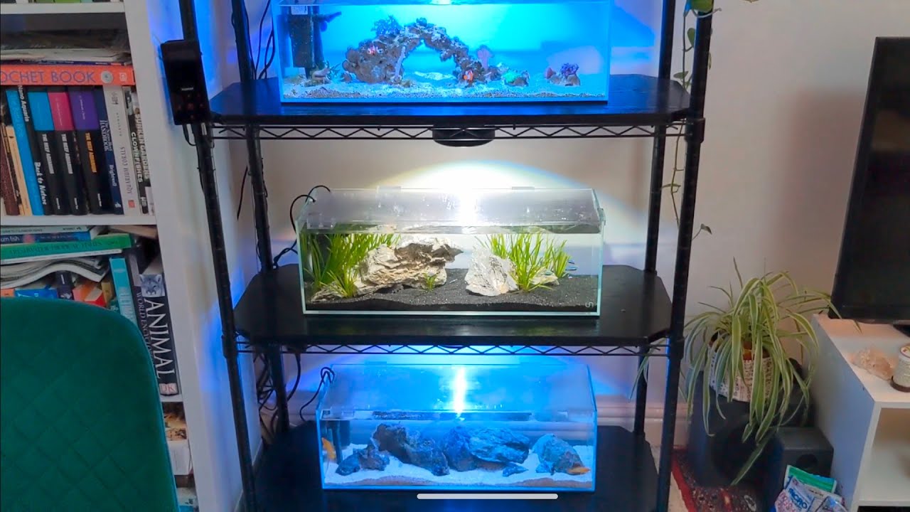 CUSTOM AQUARIUM RACK - PLANTED TANKS and NANO REEF - YouTube