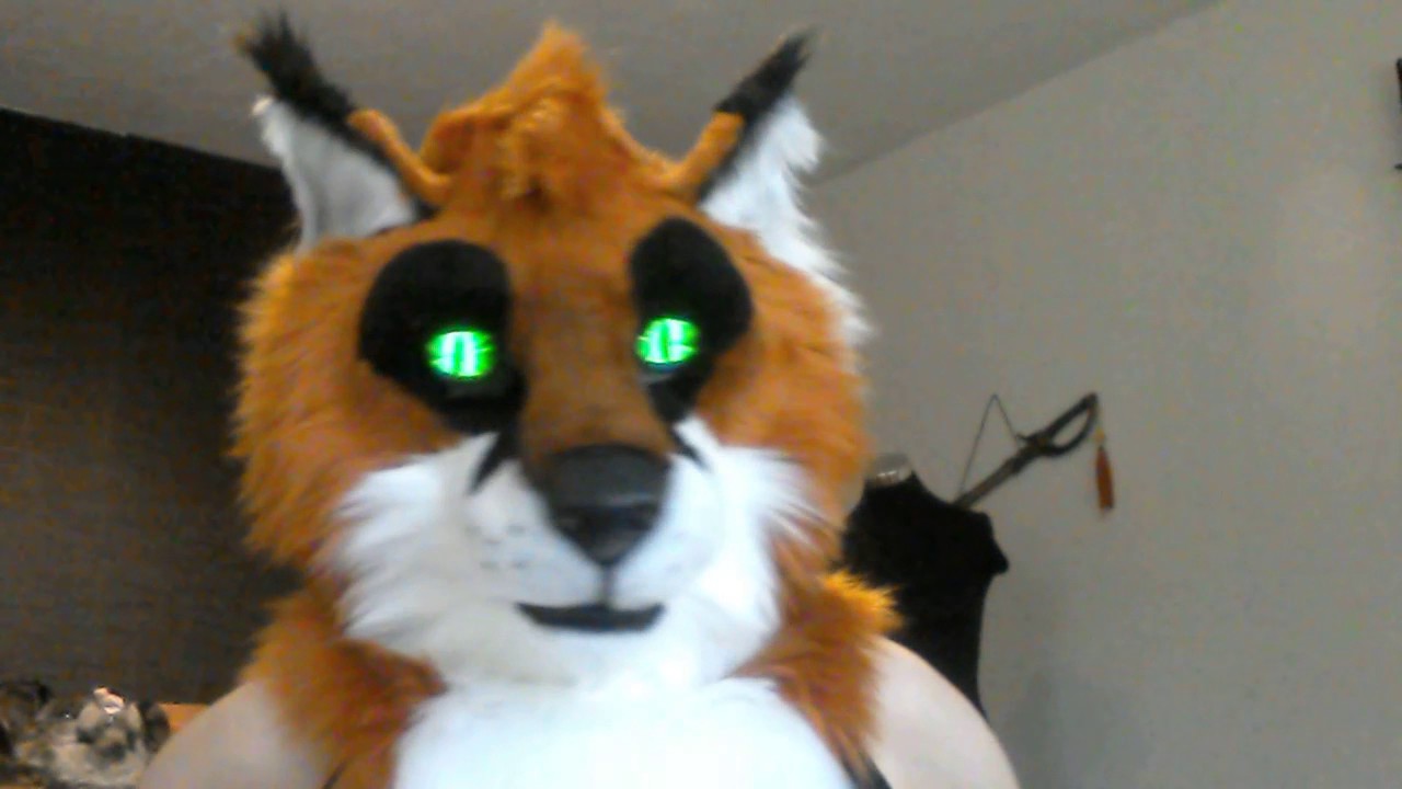 Fox head with Display eyes - YouTube