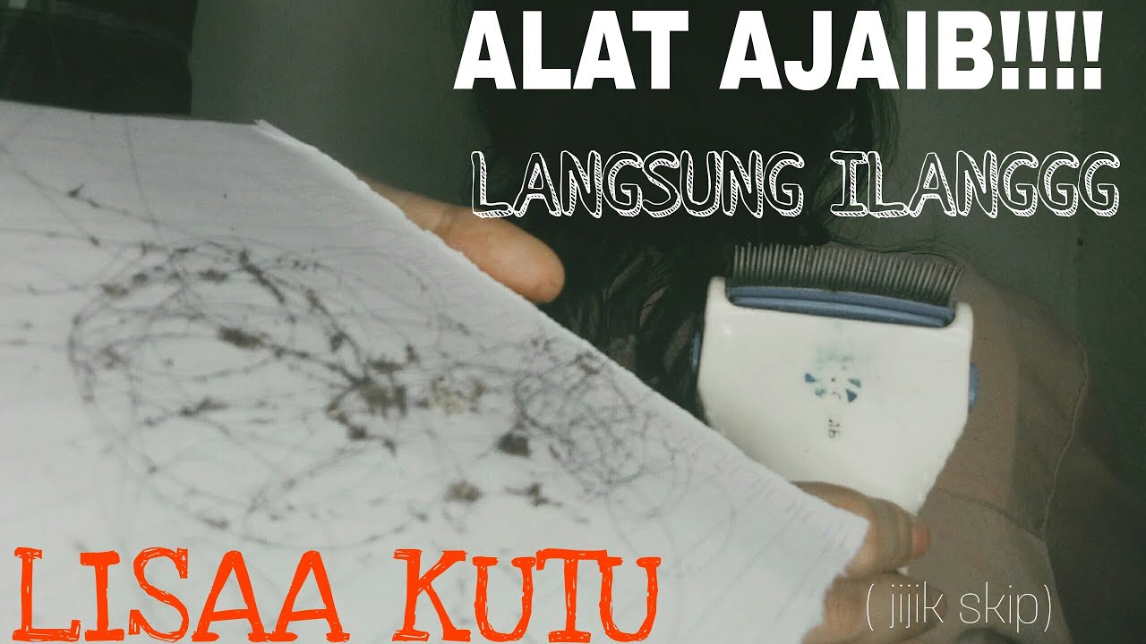 AJAIB! SATU ALAT NGABISIN LISA DAN KUTU SEKETIKA - YouTube