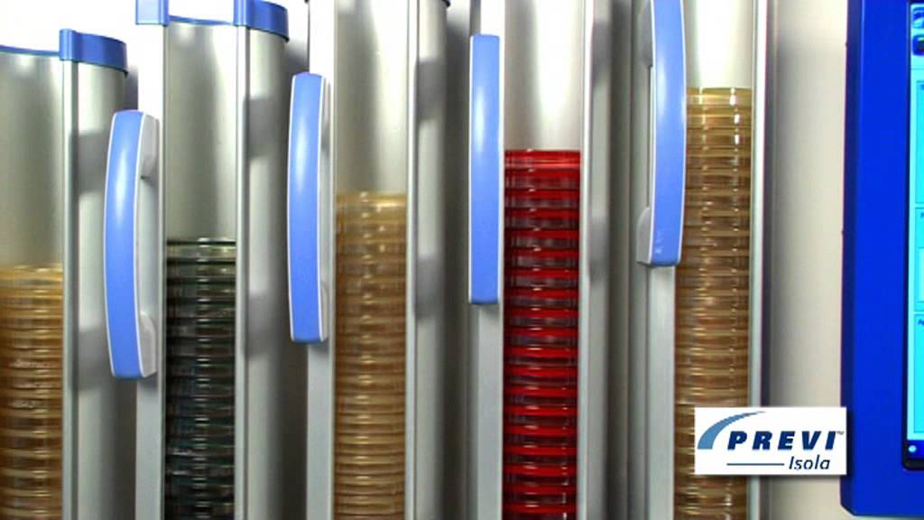 PREVI Isola - YouTube