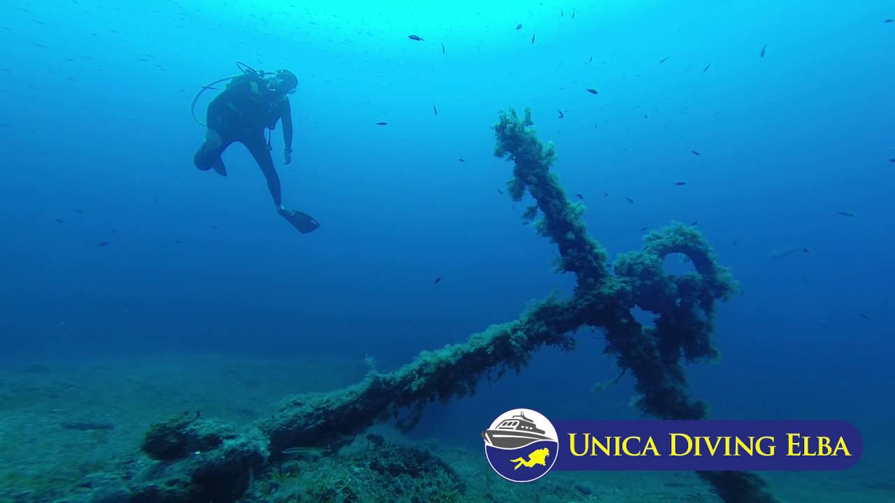 Unica Diving Elba - Eindrücke verschiedener Tauchgänge - YouTube