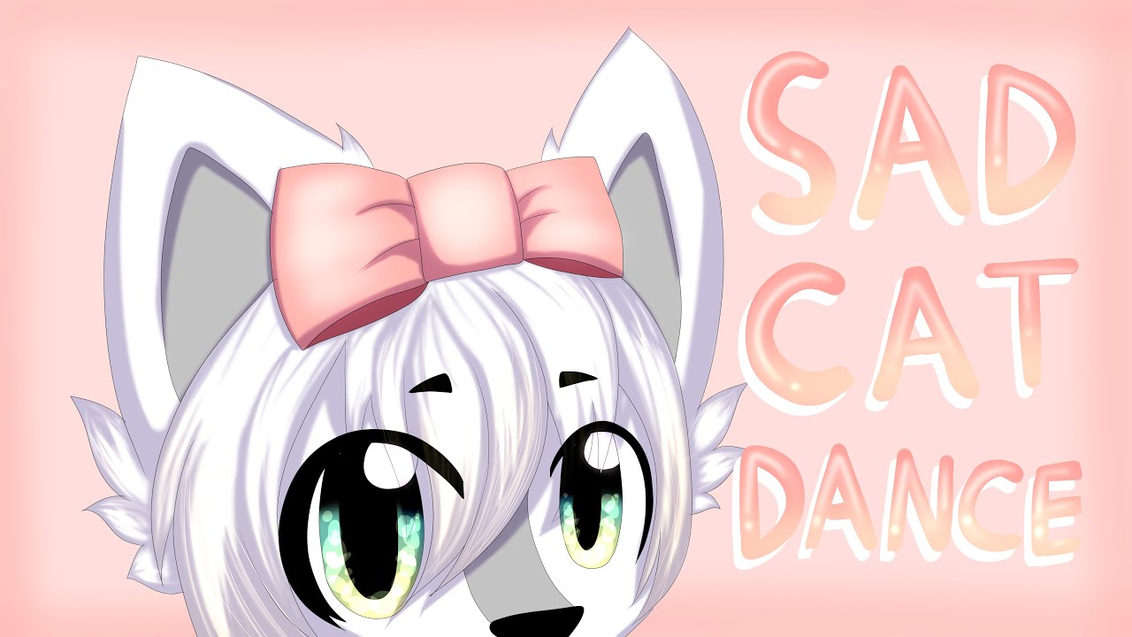 Sad cat dance - animation meme - YouTube