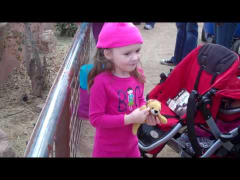 Peyton Zoo adventure - YouTube